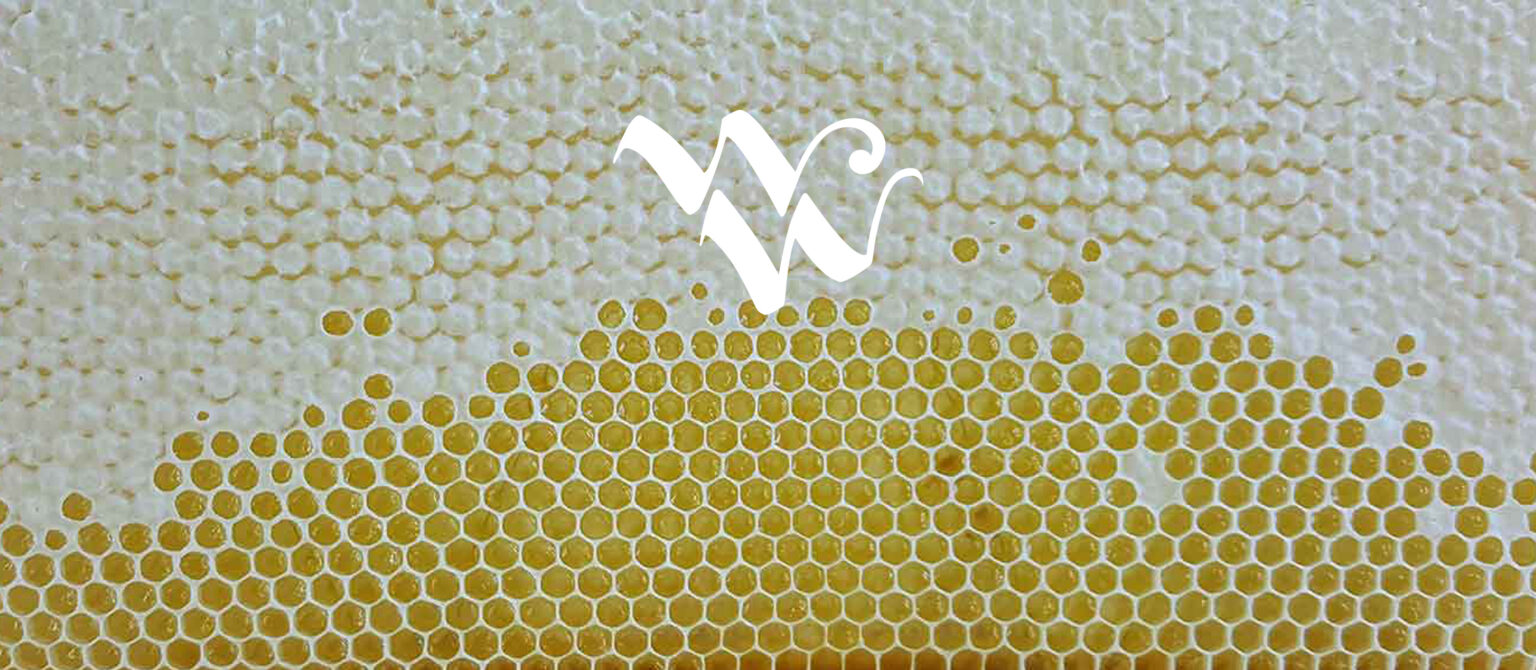 WilderBees – wilderwood